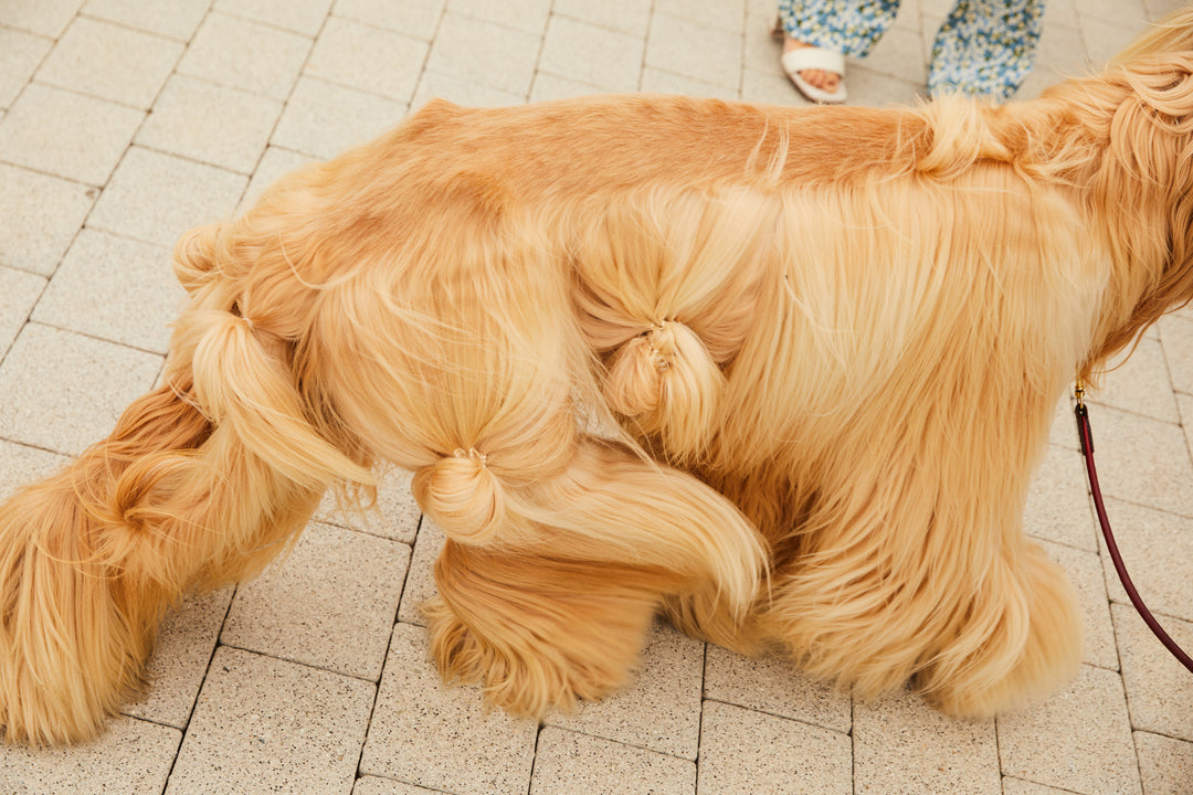 KIPPER’S WORLD – Kipper